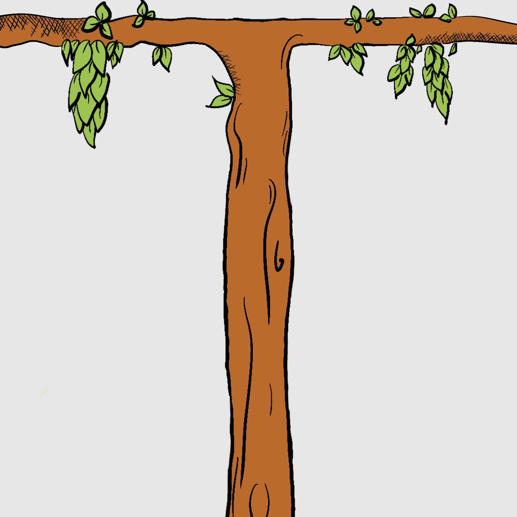 Bedeutung 🔎 Tarotkarte "Der Gehängte" (Nr. 12) + umgekehrt